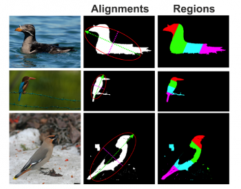 ICCV13: Fine-Grained Categorization by Alignments - Cees Snoek